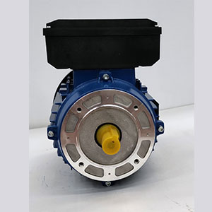 Motores Eléctricos – Motores Pecina