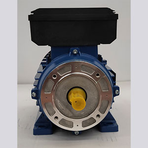 Motores Eléctricos – Motores Pecina